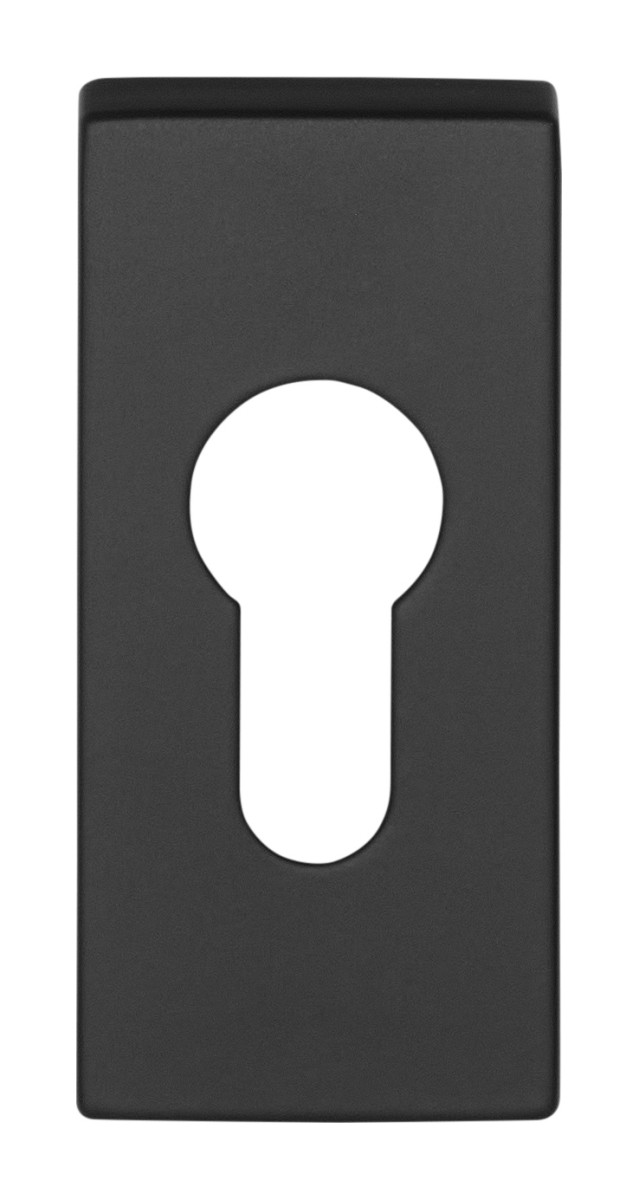 LSQBY32 - profile cylinder escutcheon rectangular PVD satin black - Formani
